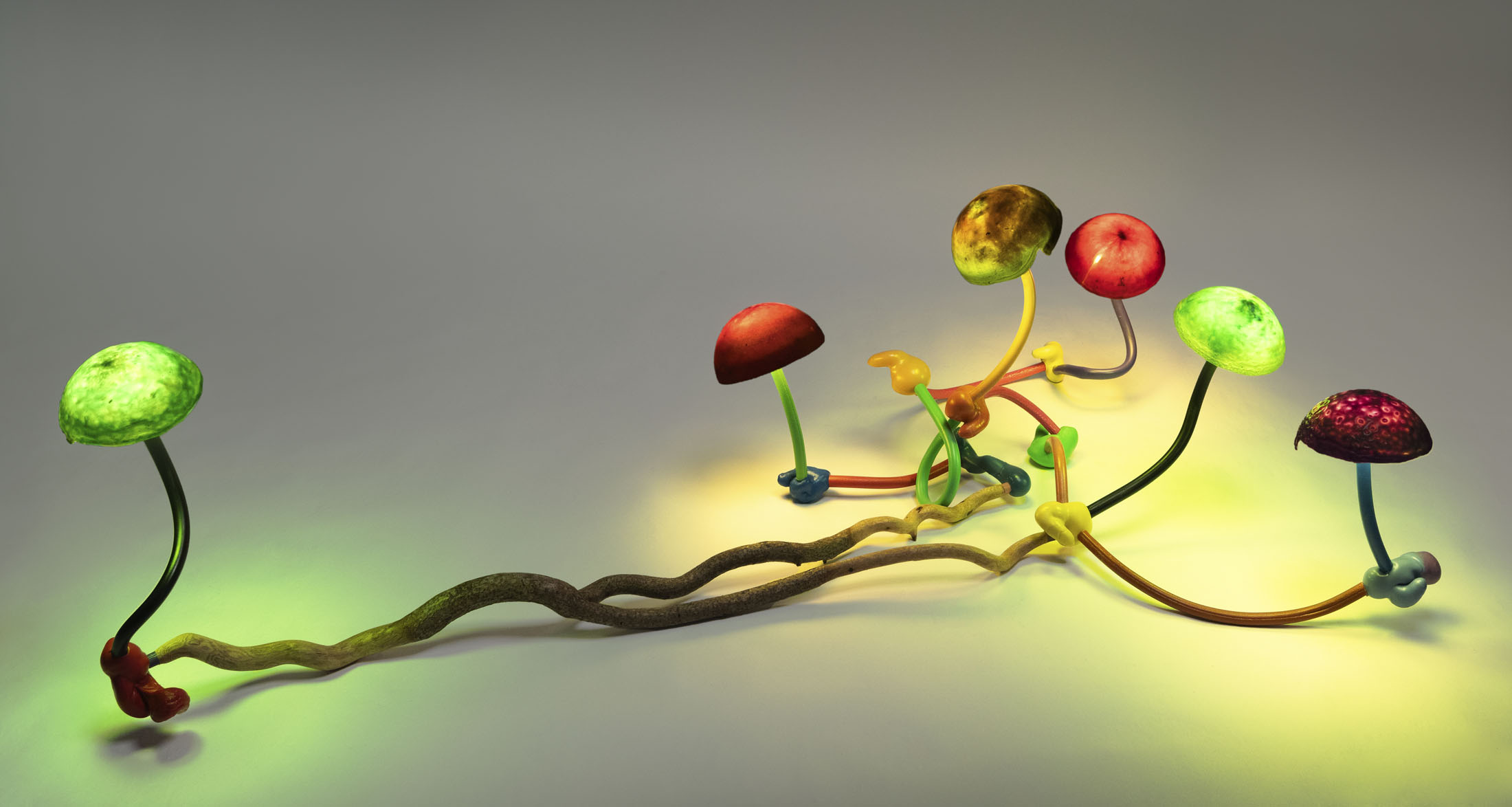 Mika Rottenberg, Antimatter Factory